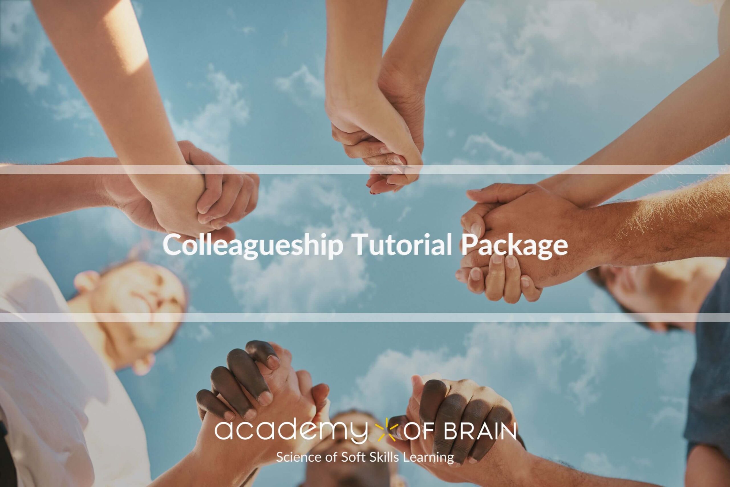 Colleagueship Tutorial Package | Academy of Brain